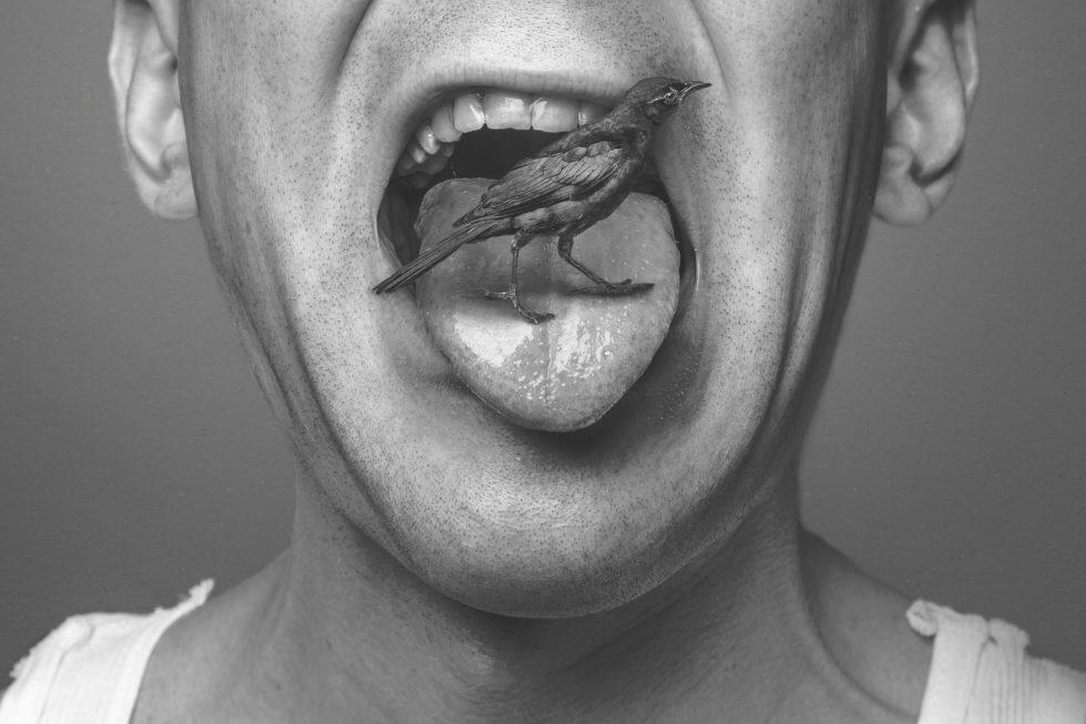 Histoire d'horreur : "Les humains aussi peuvent lécher" - Histoires d ...